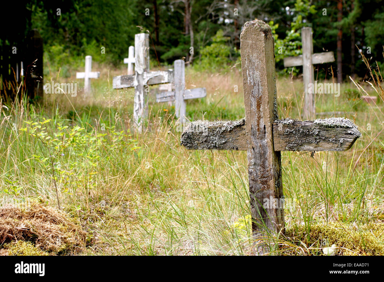 Abandoned cemetery and wooden crosses in Pape, Latvia Stock Photo - Alamy