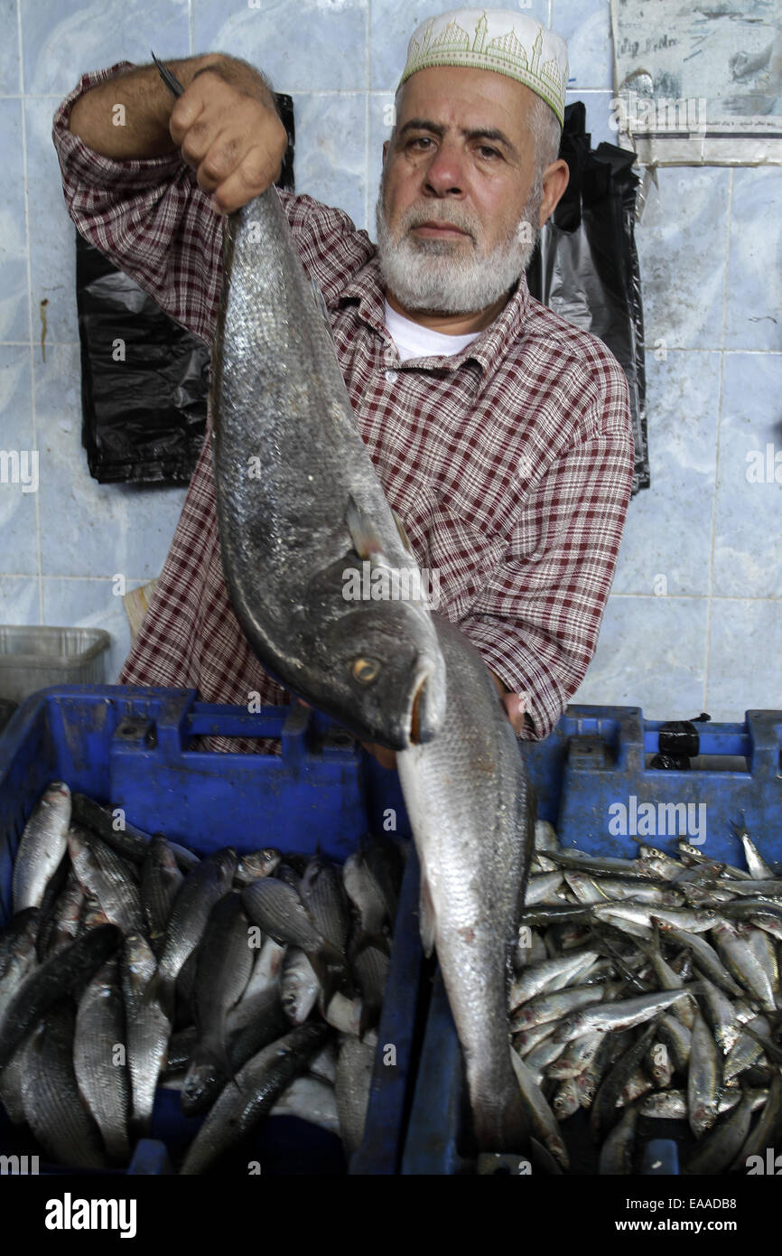 Rafah, Gaza Strip, Palestinian Territory. 10th Nov, 2014. A Palestinian ...
