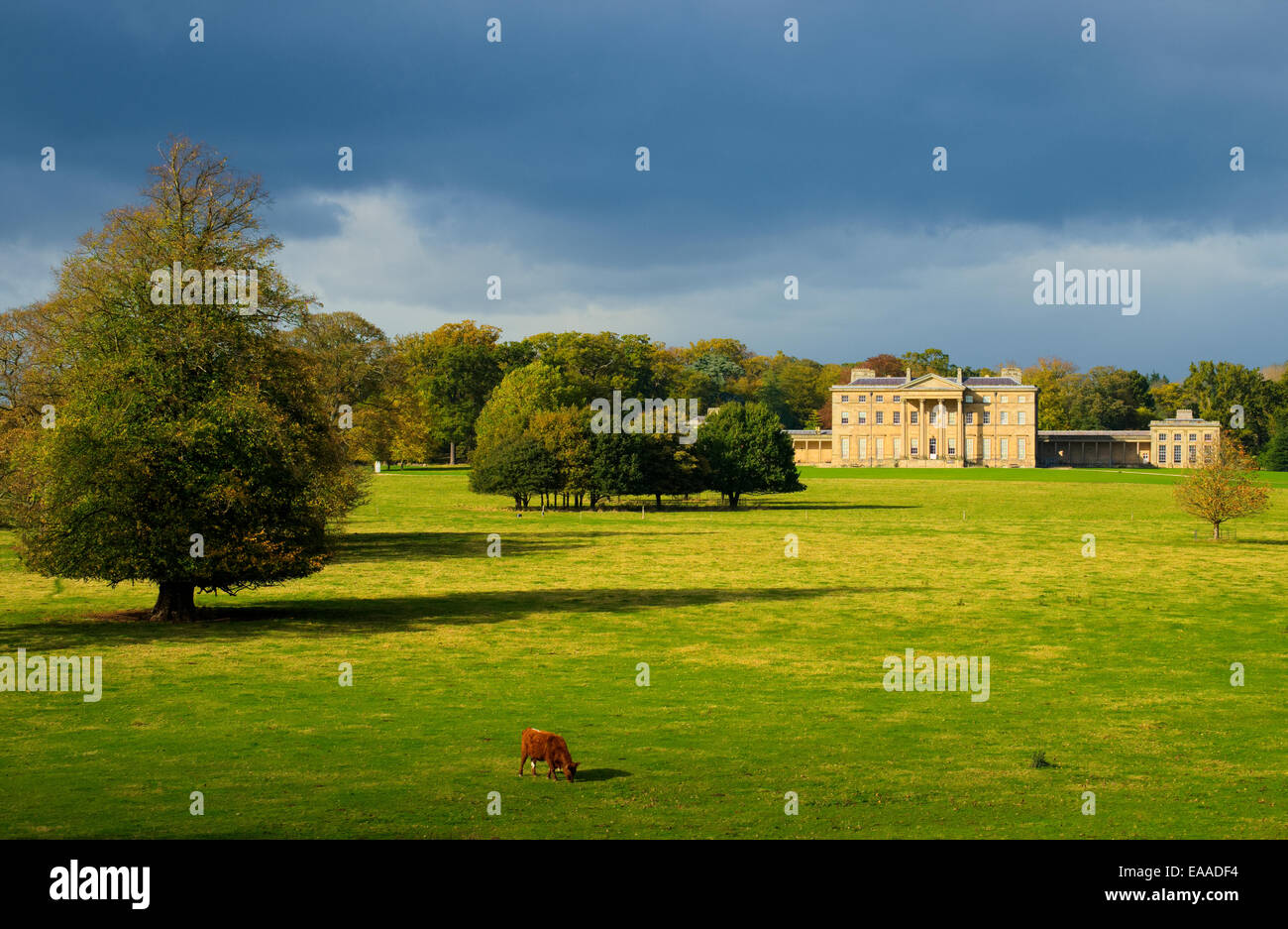 Attingham hi-res stock photography and images - Alamy