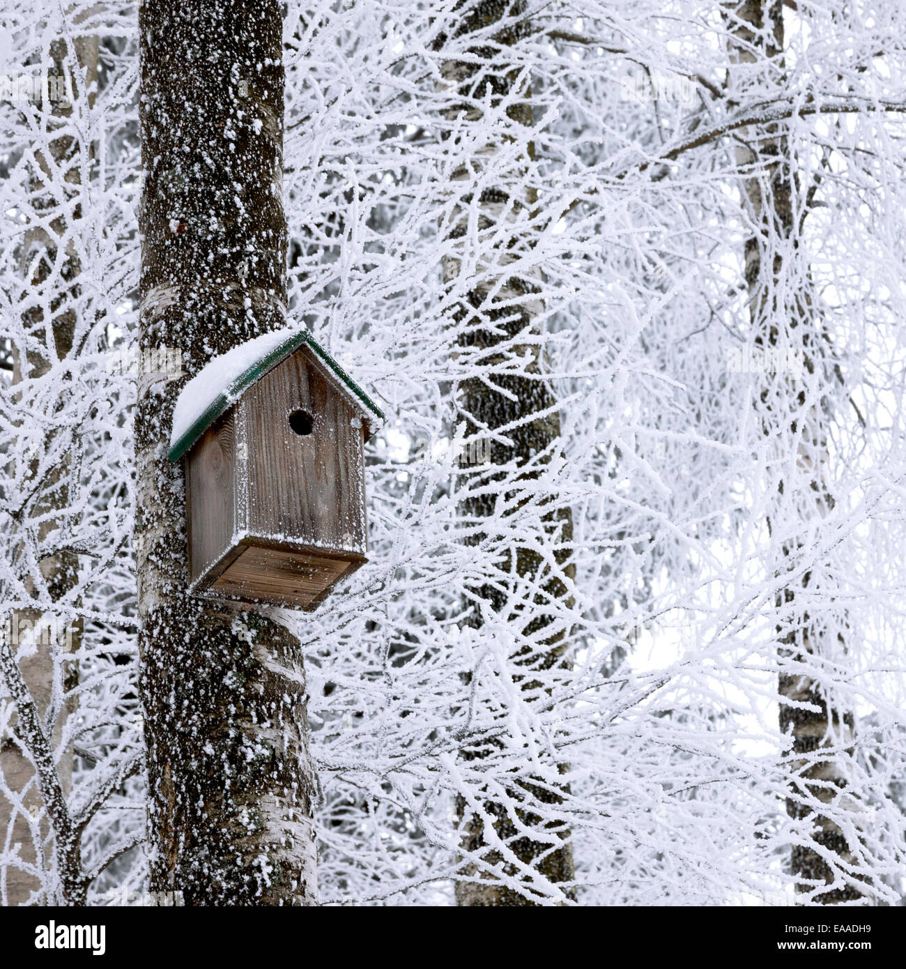 Birdhouse snow hi-res stock photography and images - Alamy
