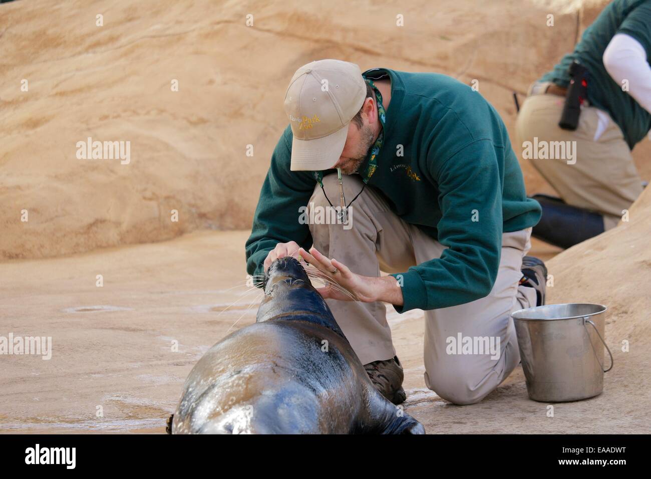 Zoo animal trainer hi-res stock photography and images - Alamy