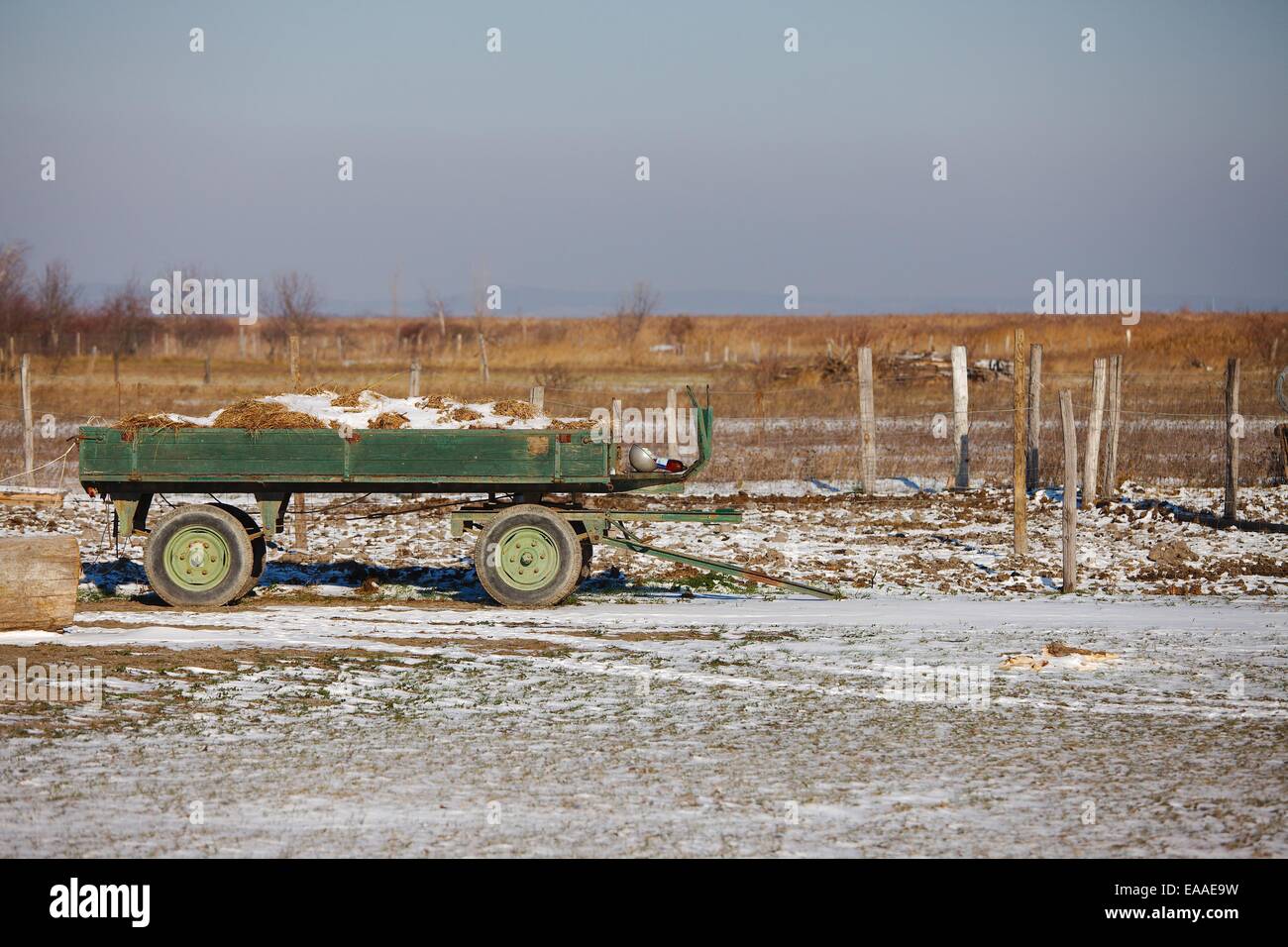 Sheep goat farm hi-res stock photography and images - Alamy