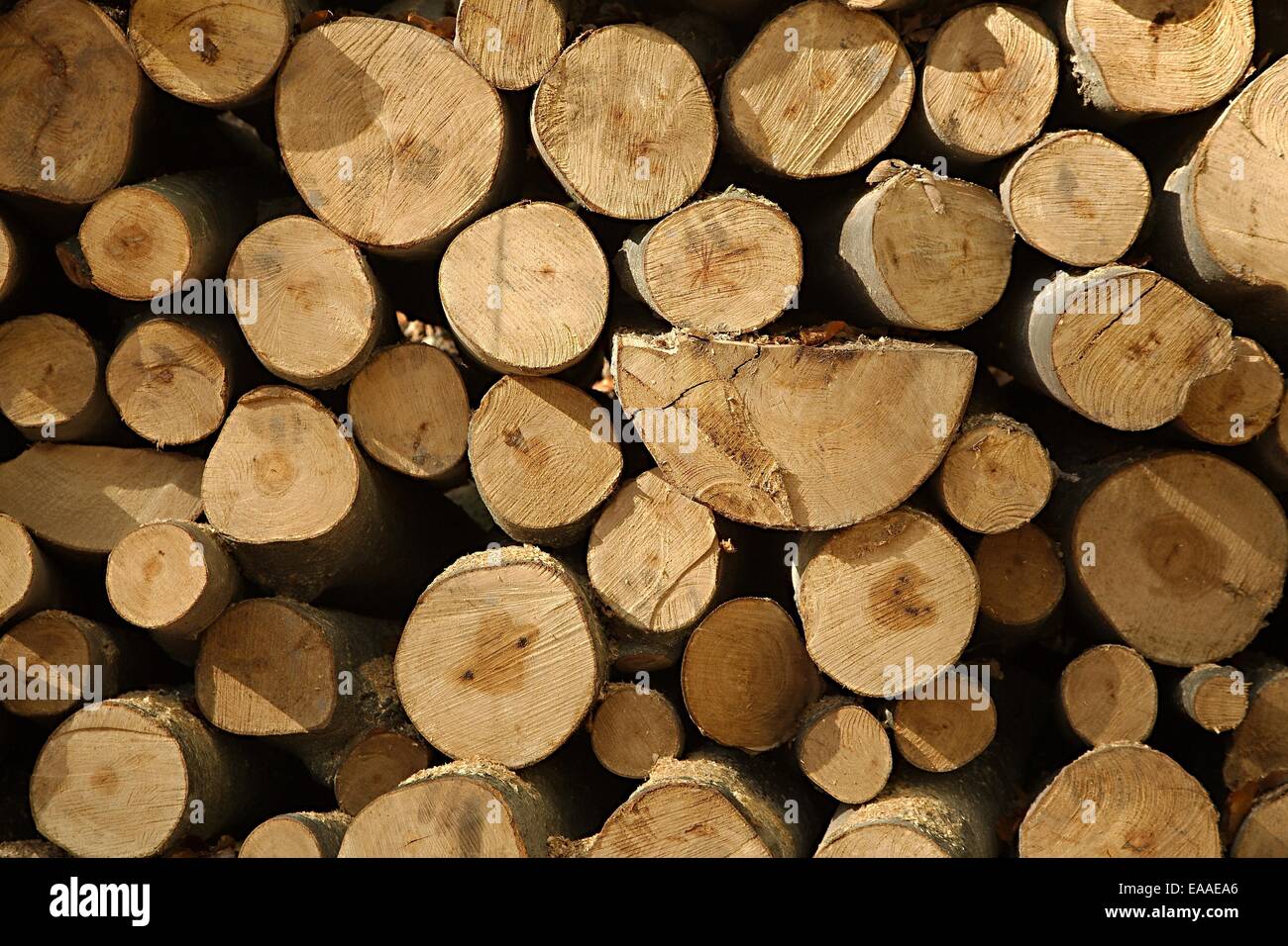 Woodpile stack log pile lumber timber hi-res stock photography and ...