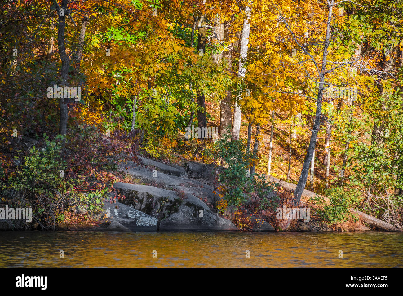 Shoreline park mountain view hi-res stock photography and images - Alamy