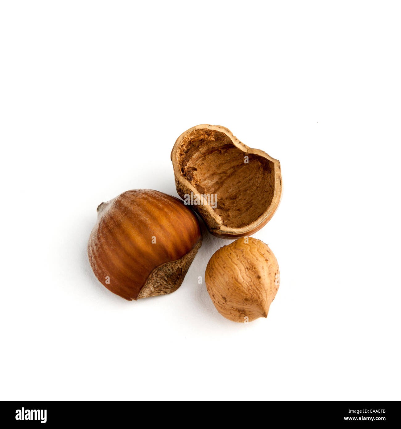 Studio shot of cracked hazelnut isolated on white background Stock ...