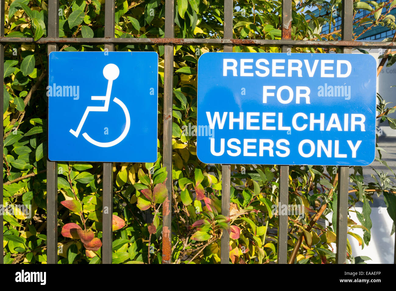 Disabled parking bay wheelchair sign hi-res stock photography and ...