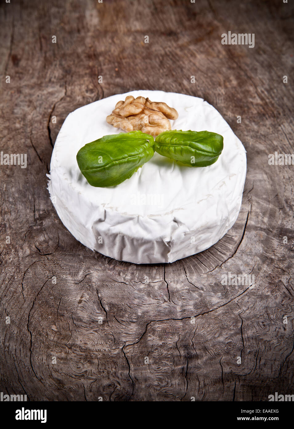 Soft rot hi-res stock photography and images - Alamy