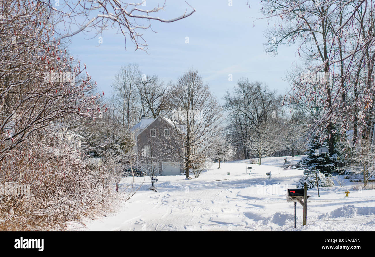 snow [snow covered] tree [tree branch] home house Stock Photo - Alamy