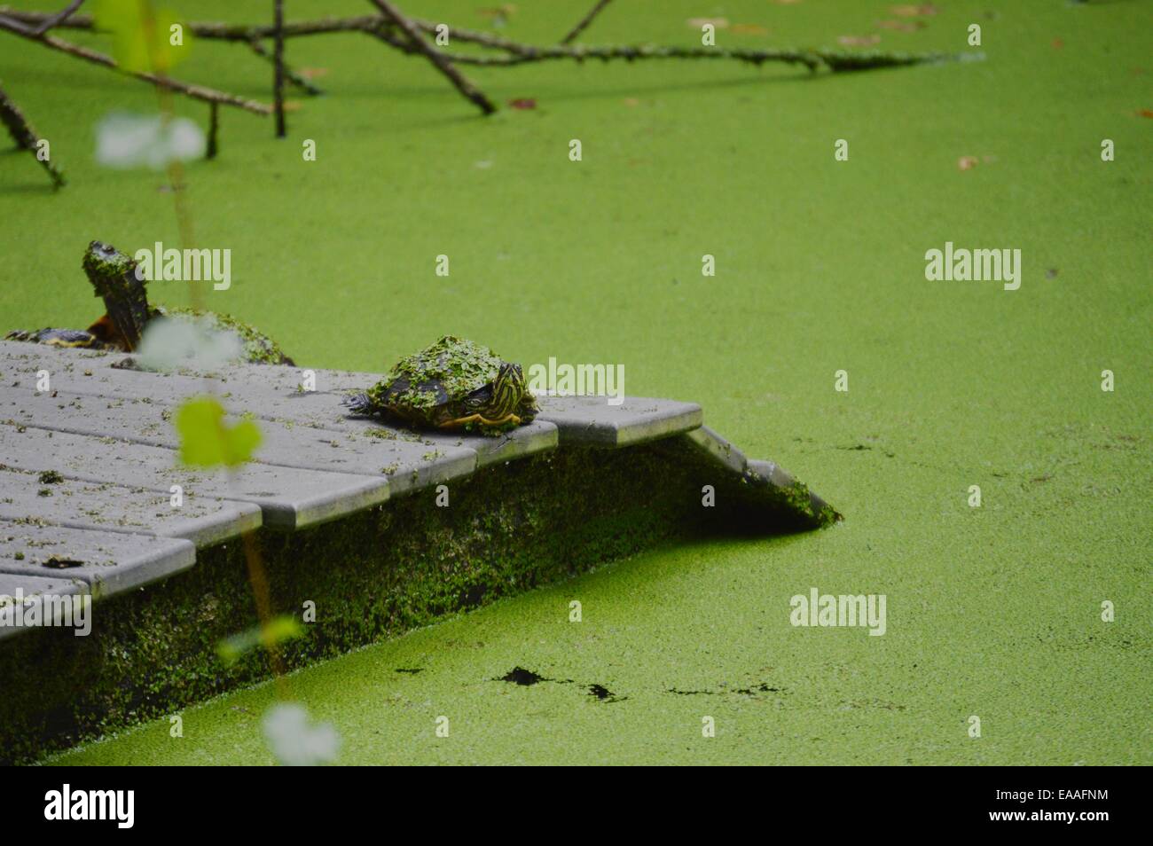 How ya doin hi-res stock photography and images - Alamy