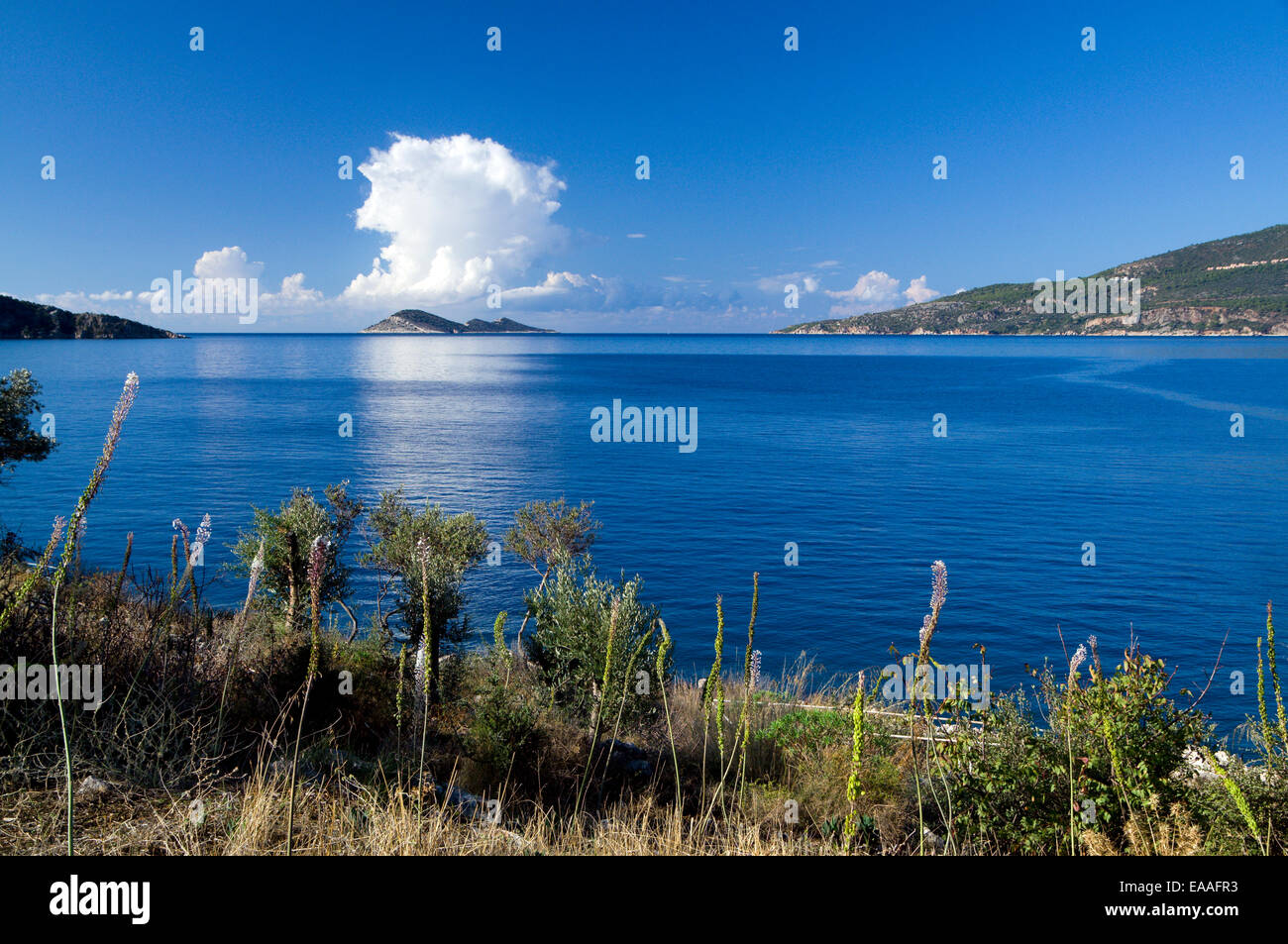 Cumulonimbus clouds snake mouse islands bay weather meteorological ...