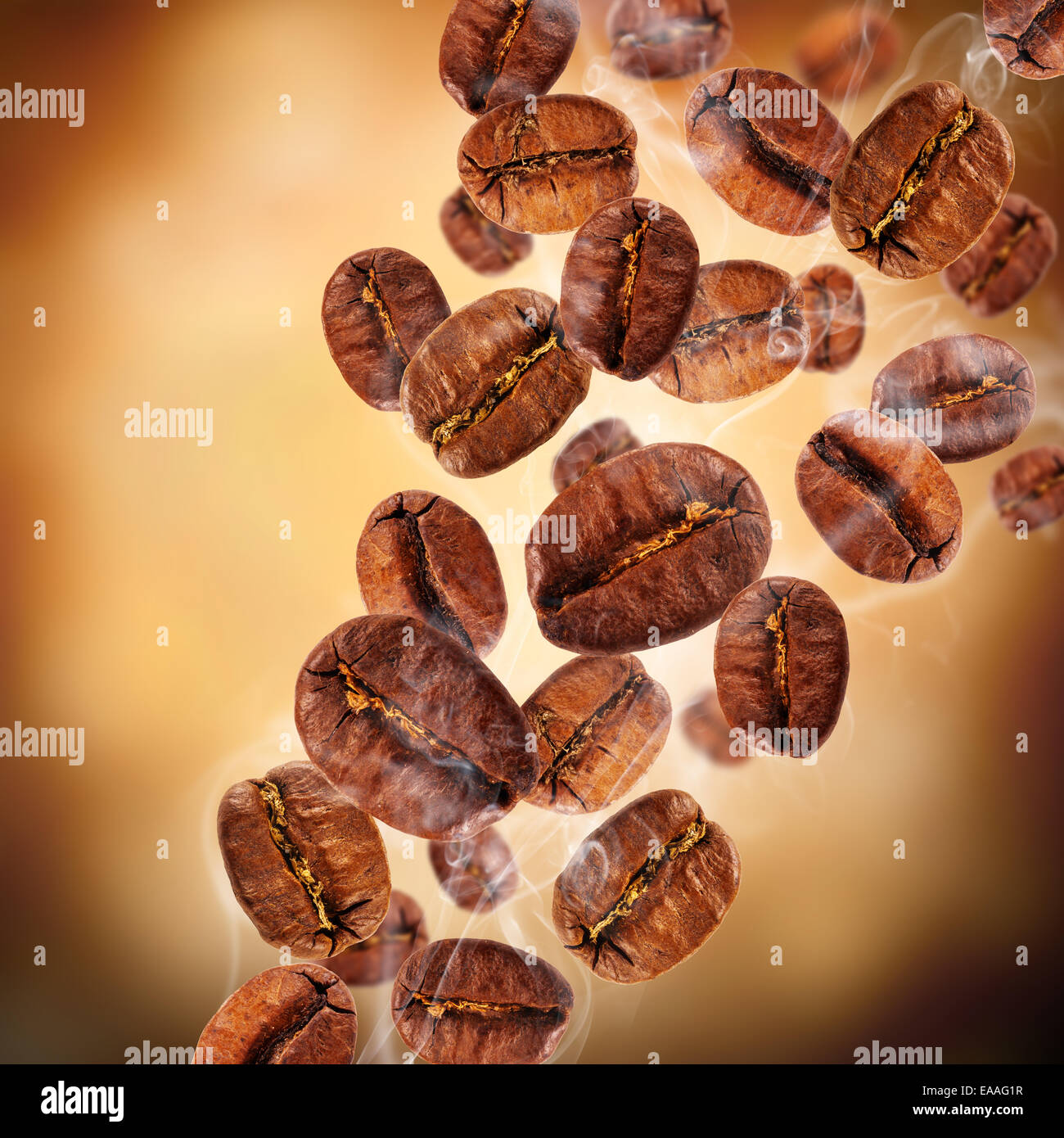 Bean Seed Fly High Resolution Stock Photography and Images - Alamy