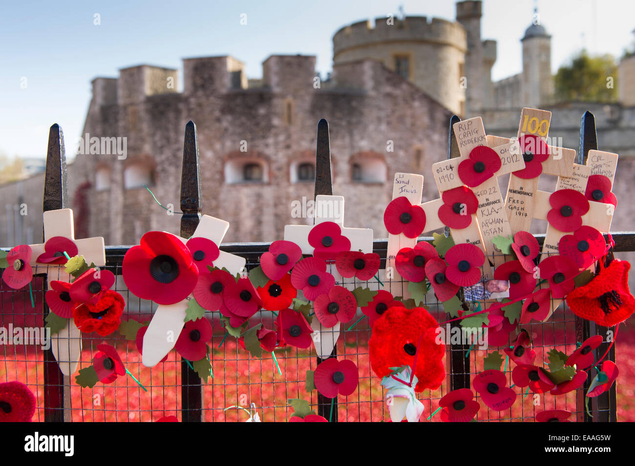 London, UK Tower of London. Close up of remembrance red poppies, with ...