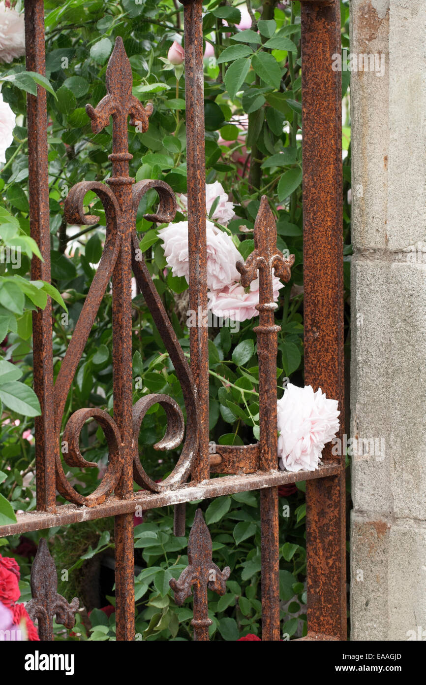 Old gate in wall hi-res stock photography and images - Alamy
