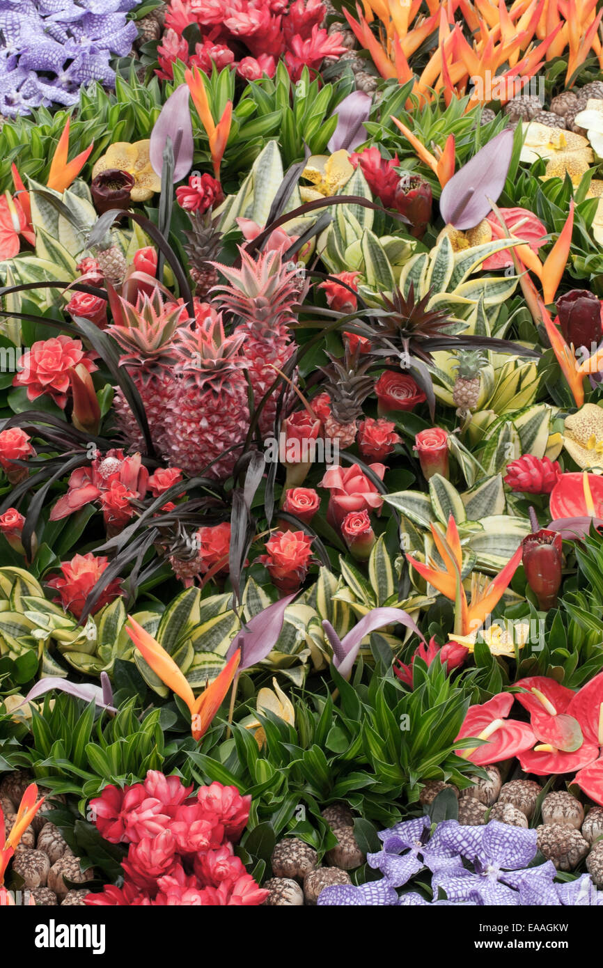 Display of tropical flowers and foliage Stock Photo - Alamy
