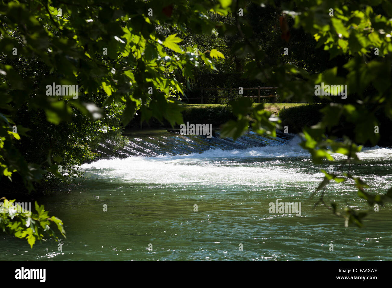 River weir in the sun under trees Stock Photo - Alamy