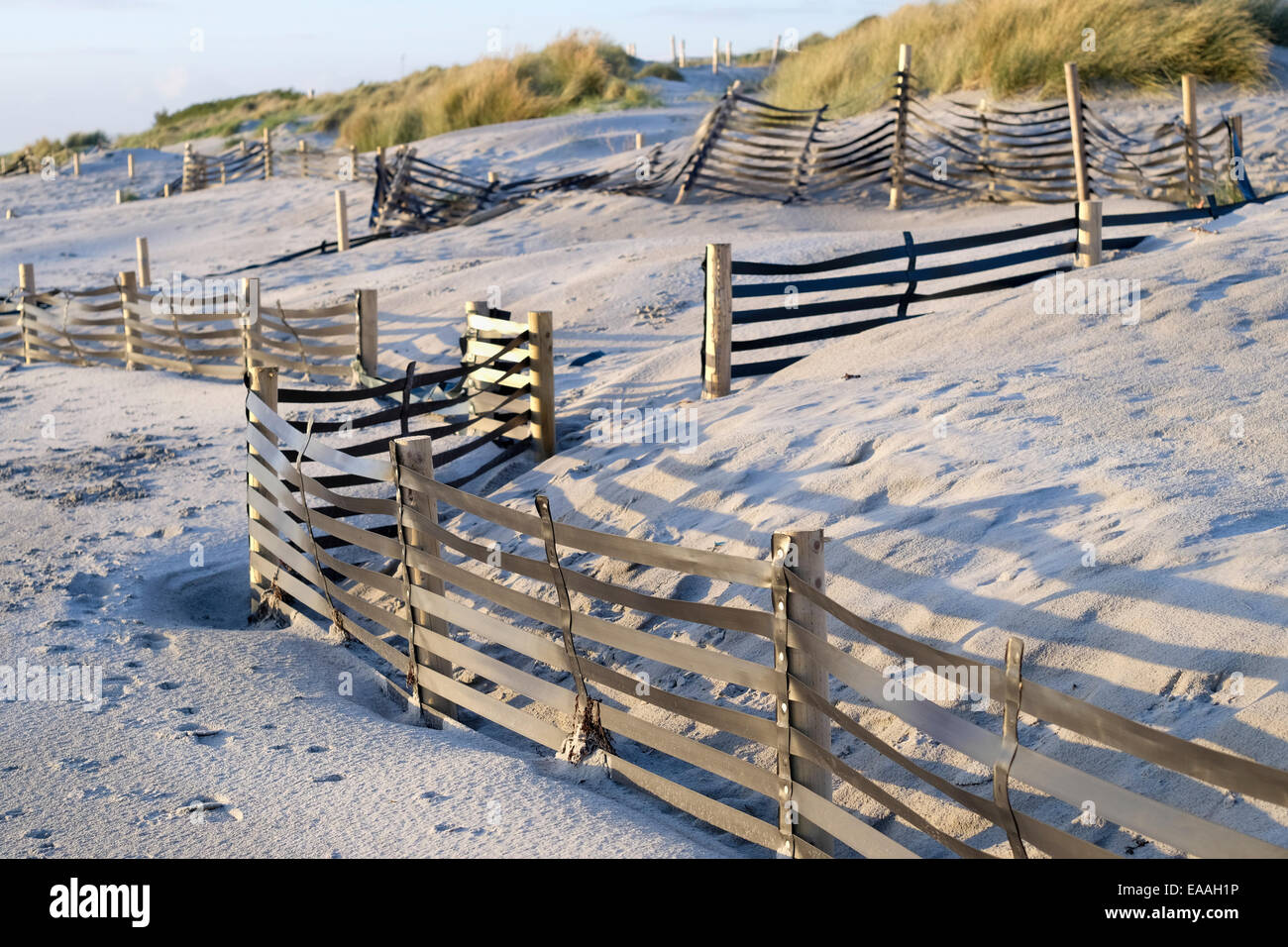 England, Sussex, West Wittering. Sand fences designed to stabilise ...