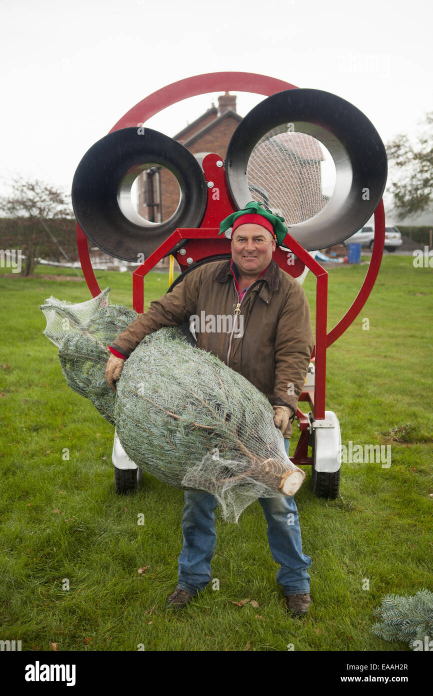 Man carrying a pine tree hi-res stock photography and images - Alamy