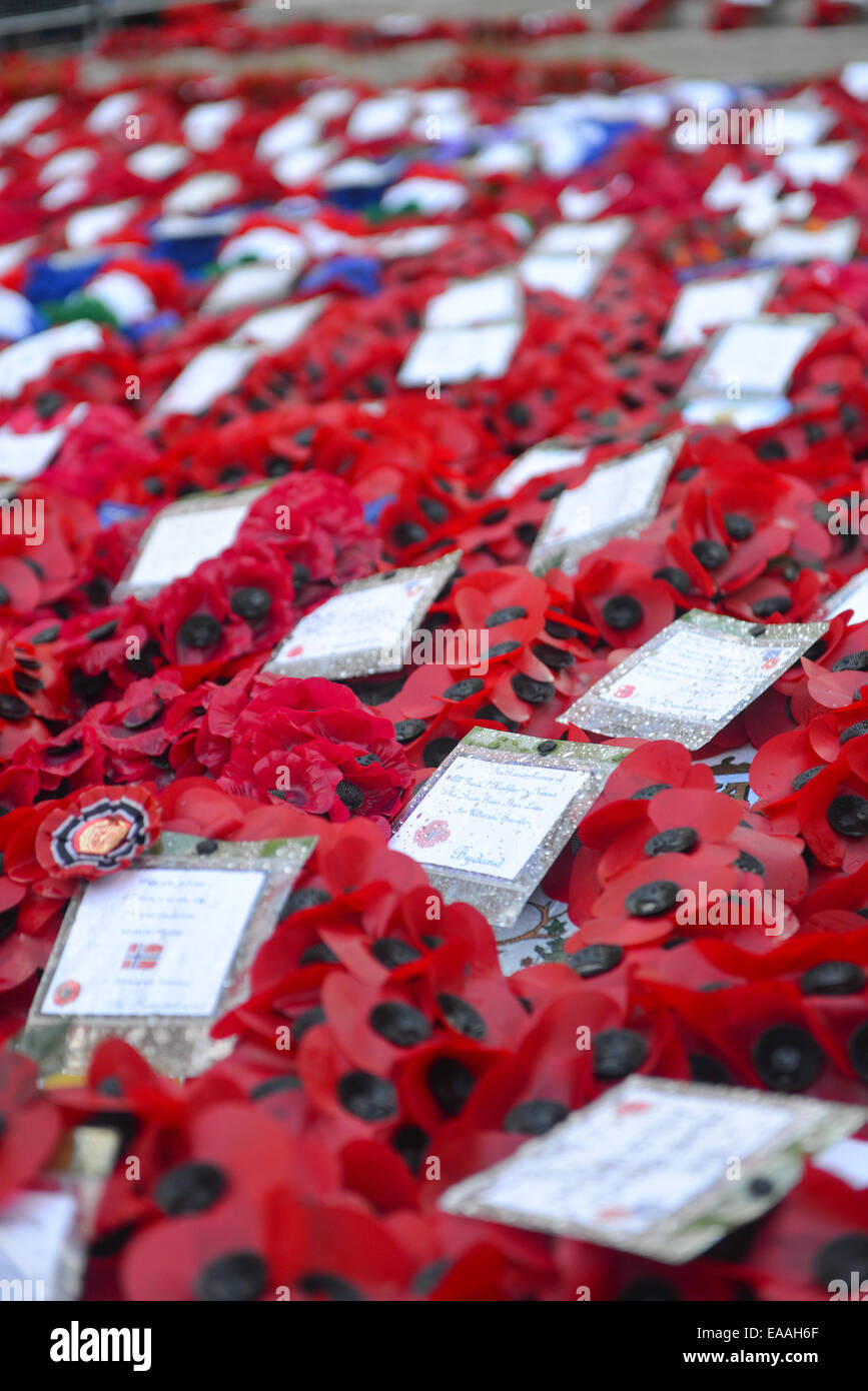 Ww1 remembrance hi-res stock photography and images - Alamy