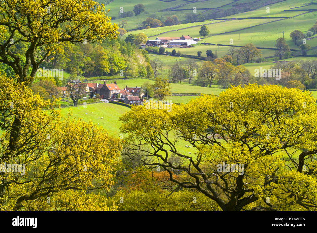 Church Houses in Farndale, The North Yorkshire Moors, England Stock ...