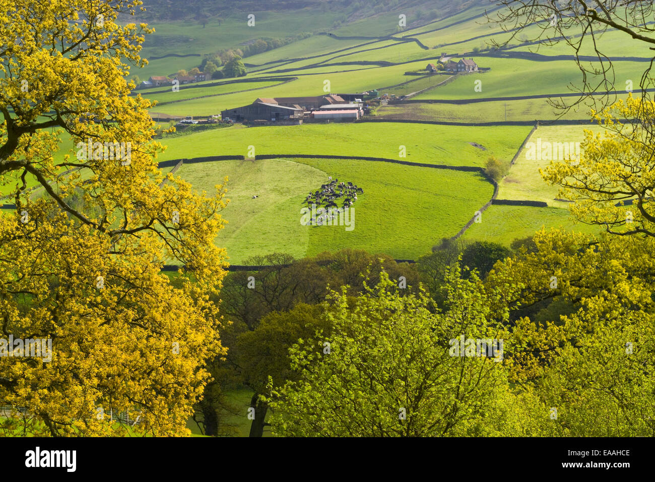 Church Houses in Farndale, The North Yorkshire Moors, England Stock ...