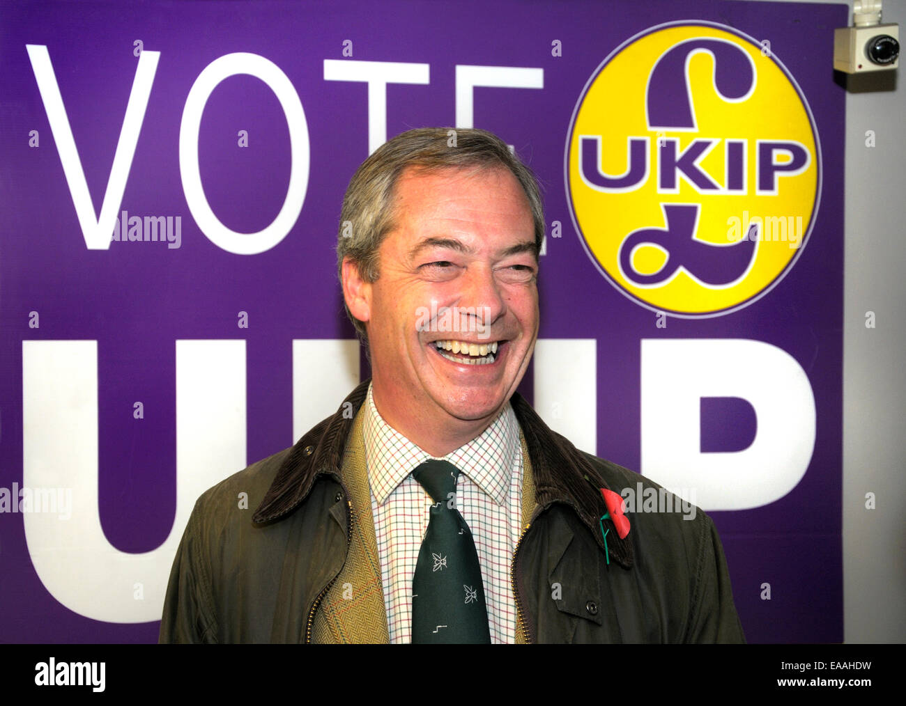 Nigel Farage MEP. Leader of UKIP, in Rochester campaigning before the ...