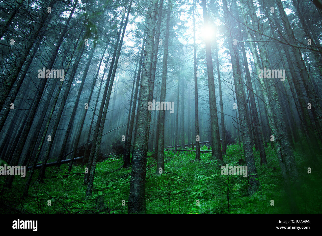 Beam exploration hi-res stock photography and images - Alamy