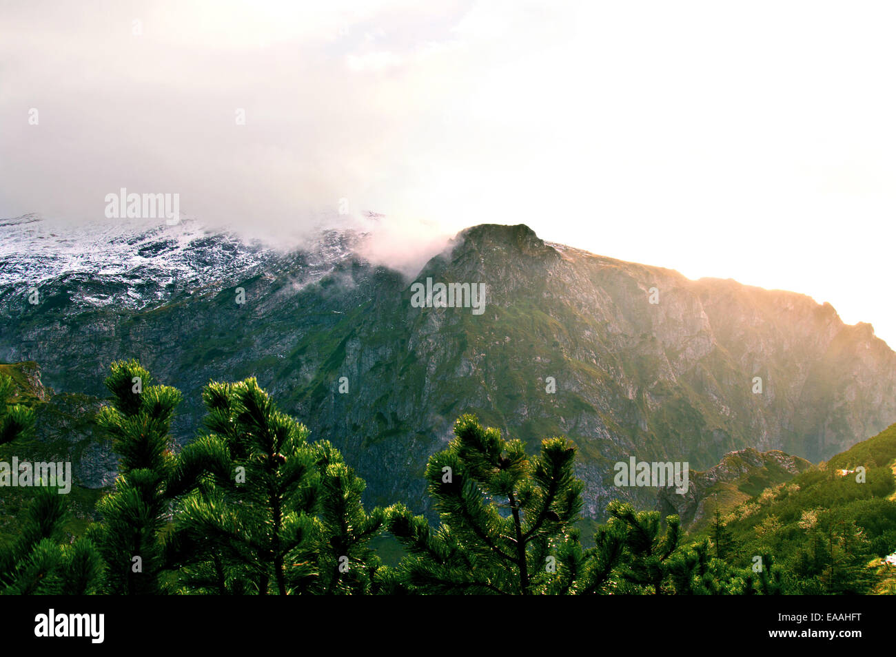 Fog in mountains. Fantasy and colorfull nature landscape. Nature ...