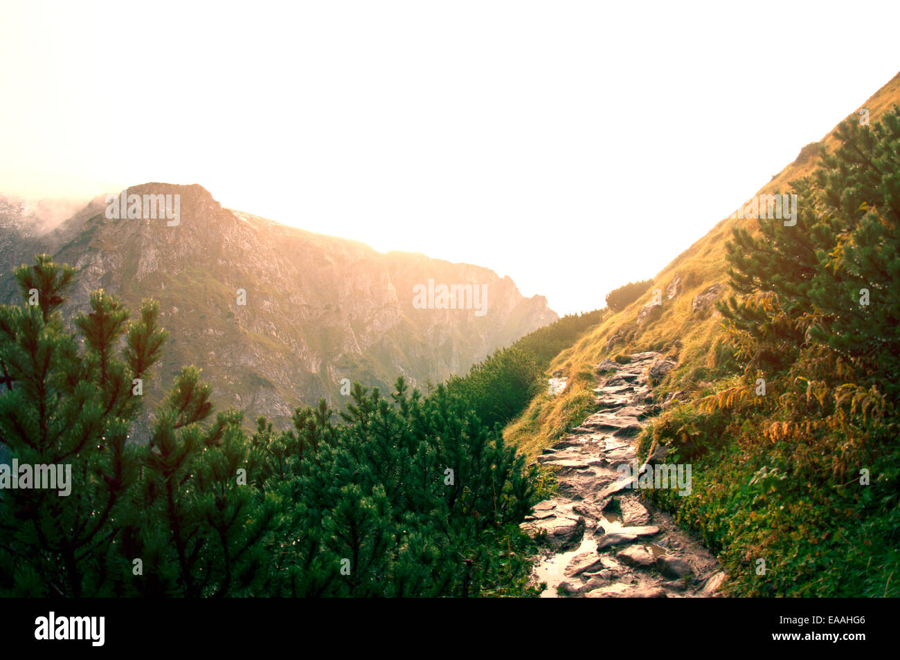 Path in beautiful mountains at sundown. Nature conceptual image Stock ...
