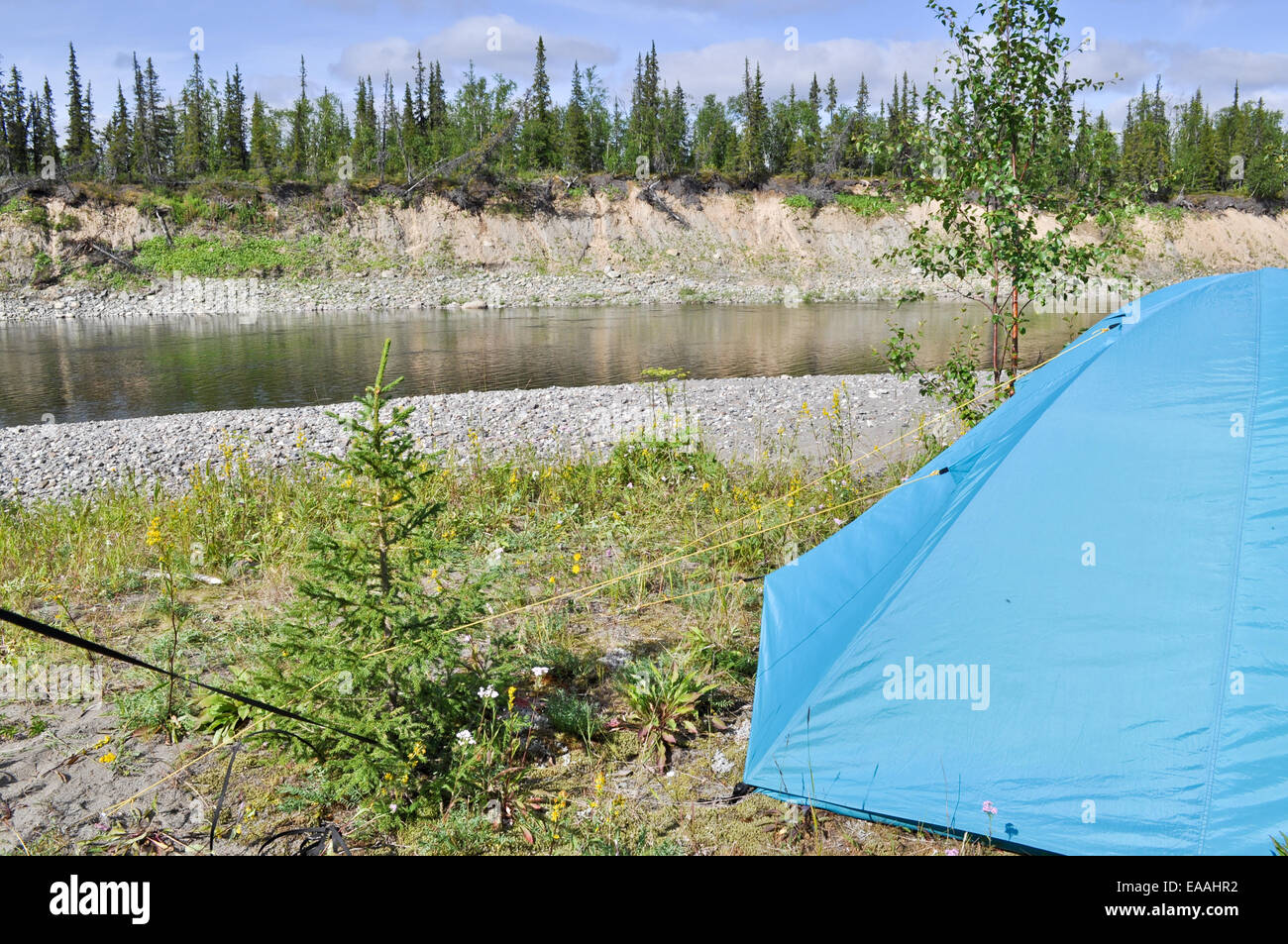 Camping tent by the river. Camping tent is located on the North river ...