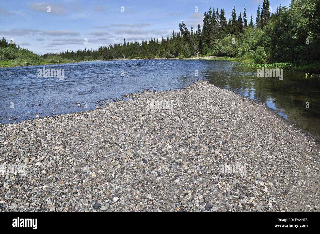 landscape of the Northern boreal river. River Lemva, Republic of Komi ...