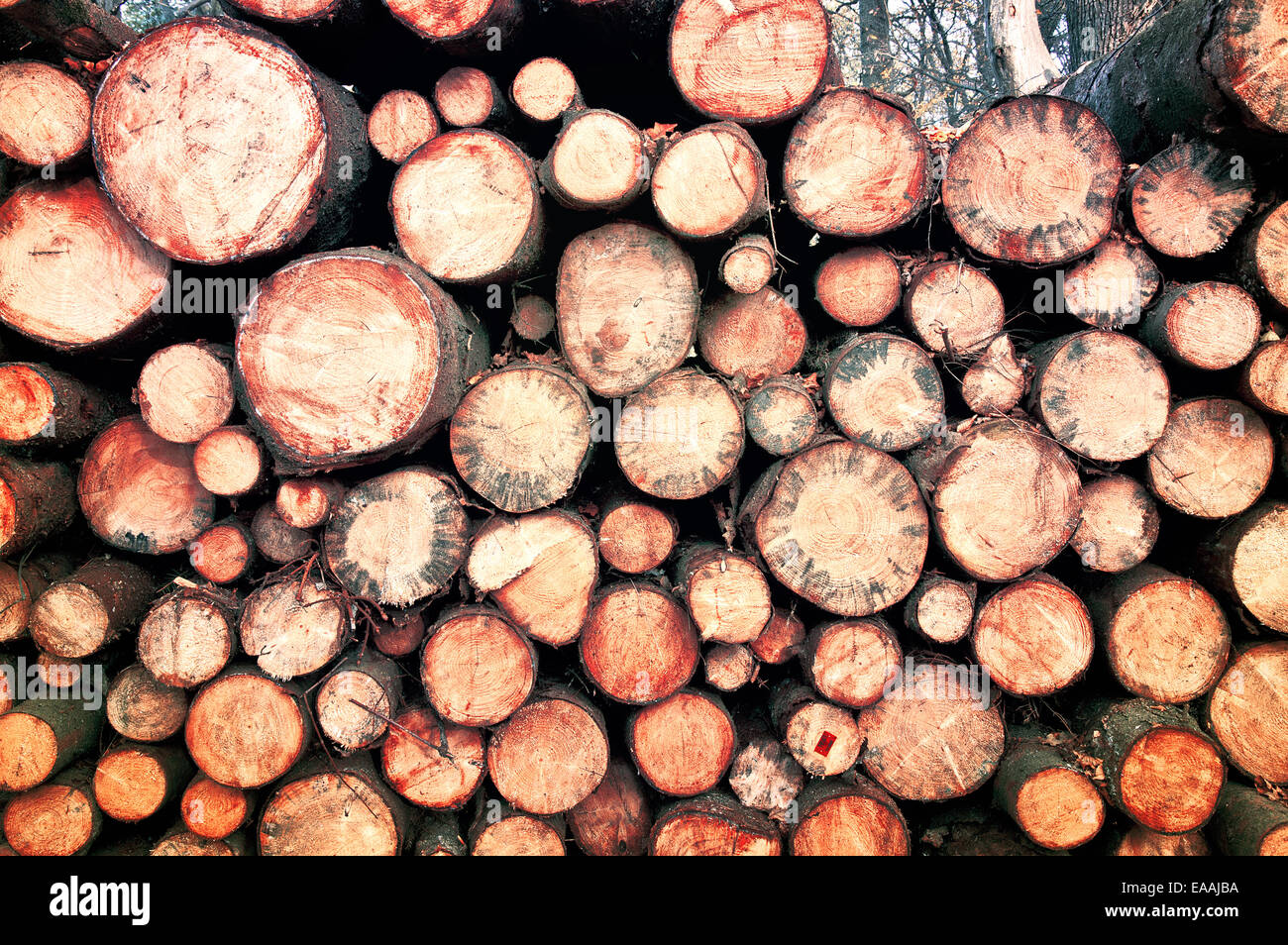 Pile of wood. Wooden texture background Stock Photo - Alamy