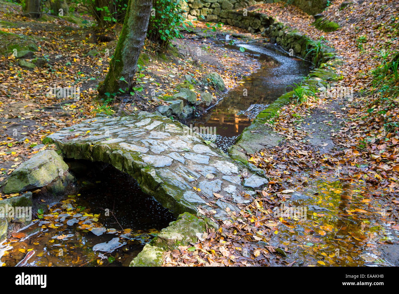 Bridge nature hi-res stock photography and images - Alamy