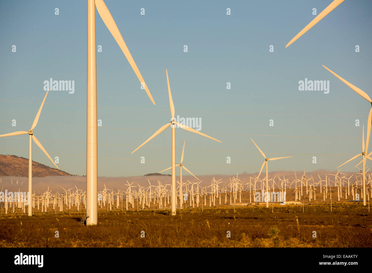 Part of the Tehachapi Pass wind farm, the first large scale wind farm ...