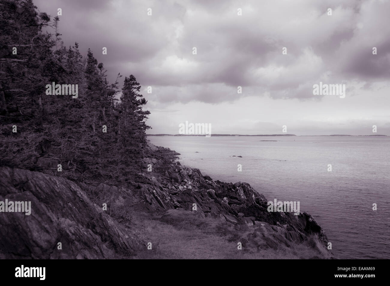 Seascape vista looking past a rocky shore and tree line to island and ...