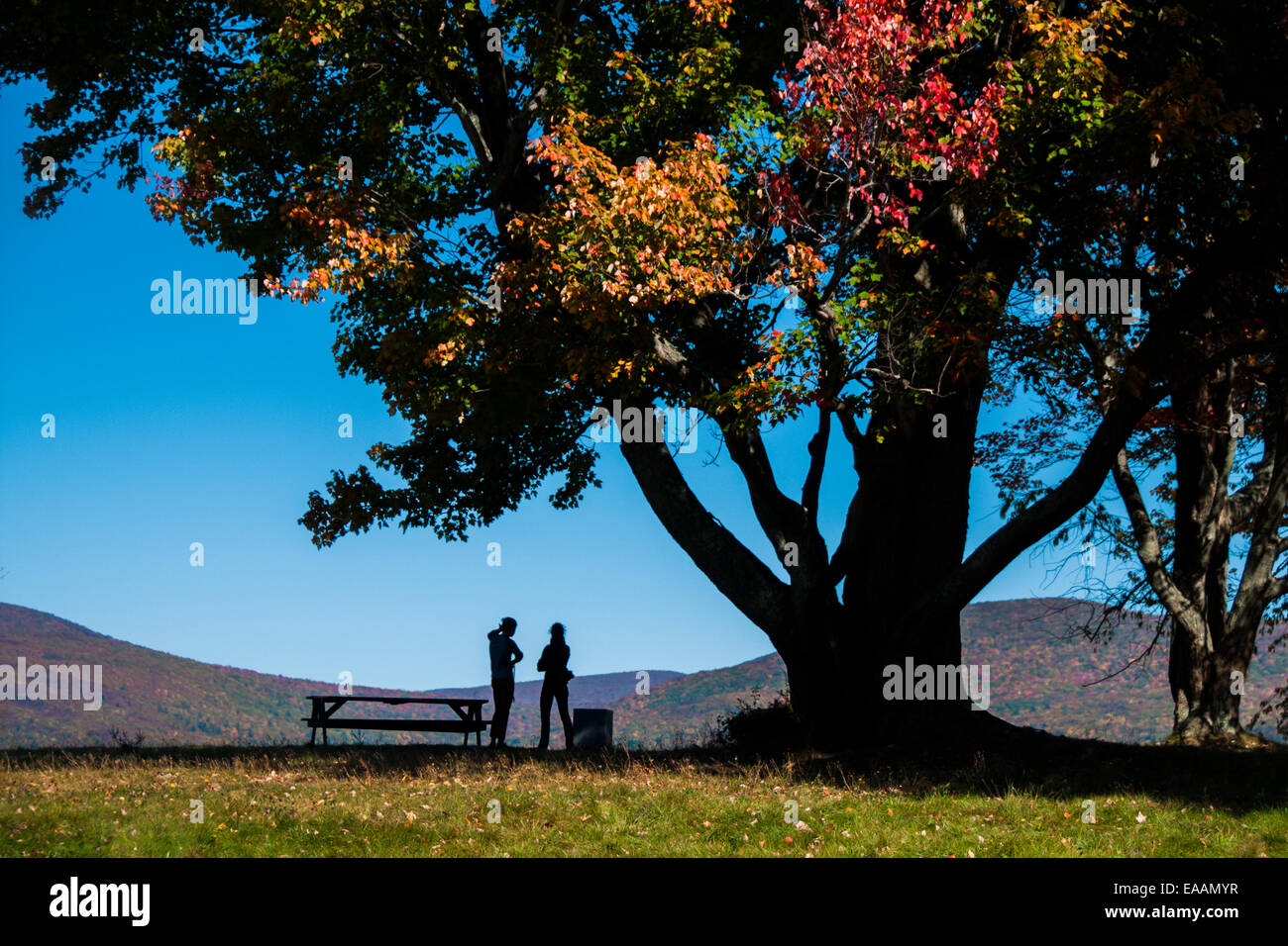 Teenage couple talking silhouette hi-res stock photography and images ...