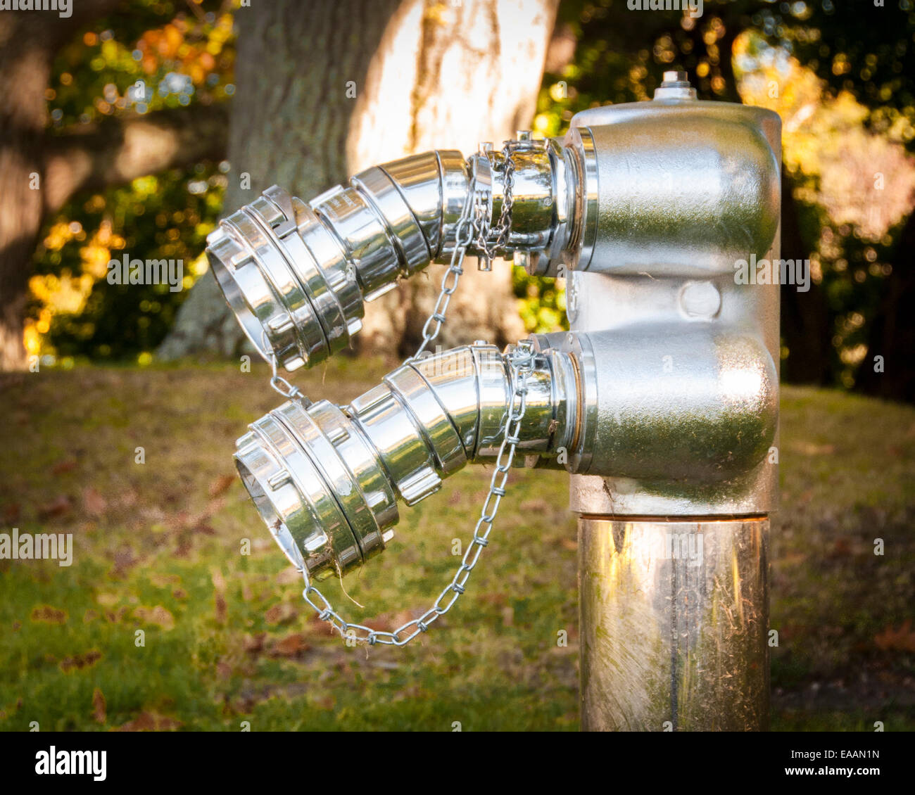 Close-up of double spout shiny aluminum fire hydrant. Unusual, unique ...