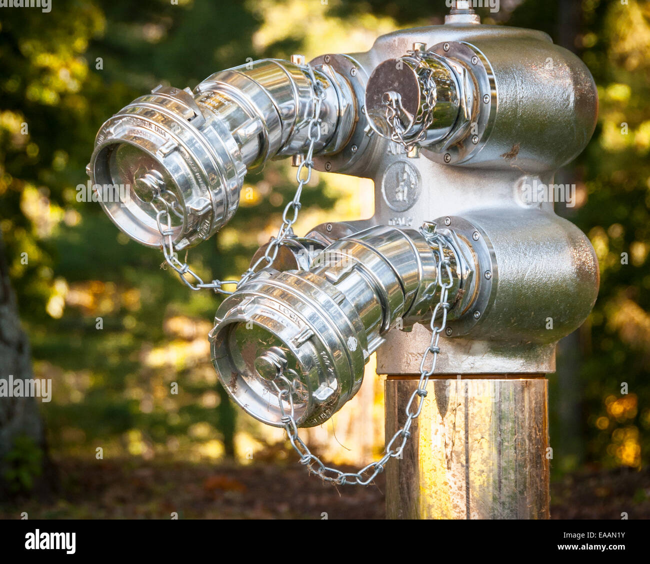 Close-up of double spout shiny aluminum fire hydrant. Unusual, unique ...