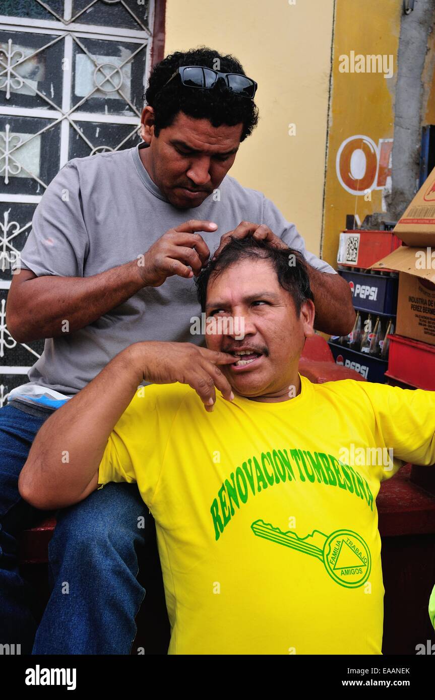 Delousing - Market in TUMBES. Department of Tumbes .PERU Stock Photo ...