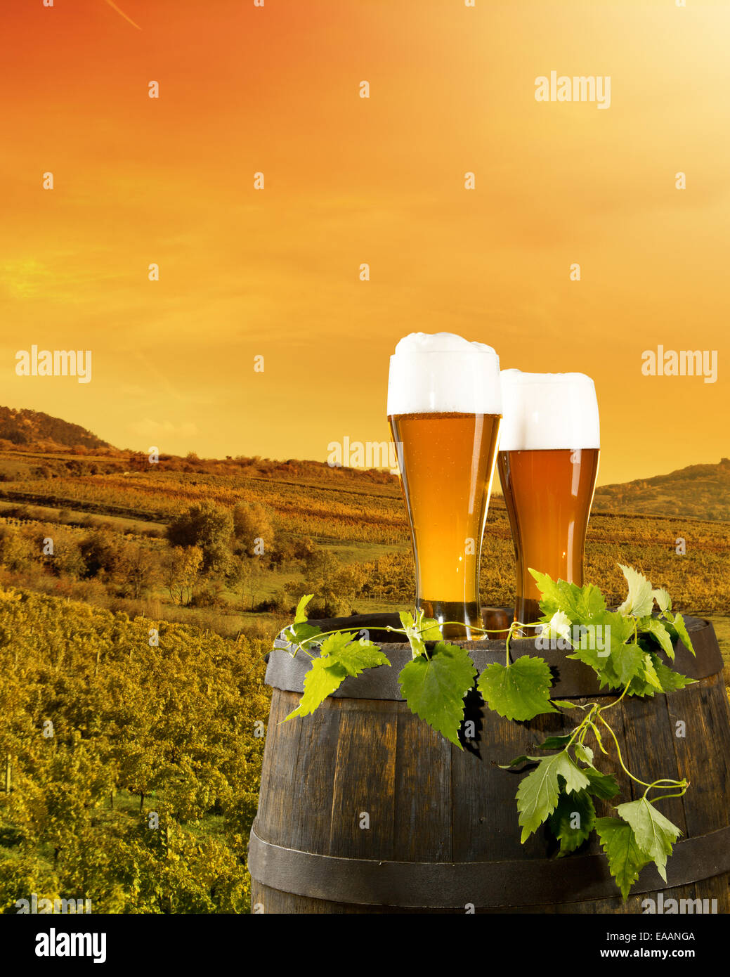 Beer keg with glasses of beer on rural countryside background Stock ...