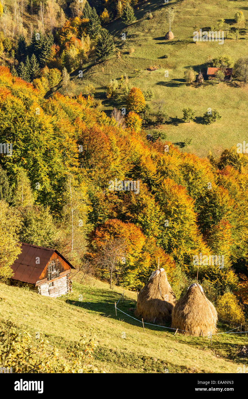 Hay stacks in countryside in a romanian villlage at the food of Piatra ...