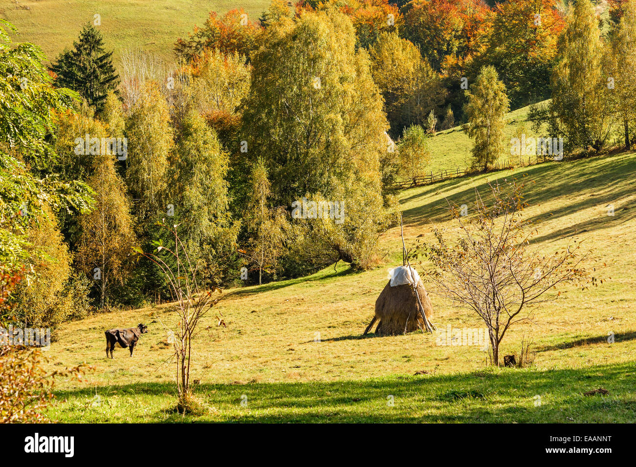 Hay stack in countryside in a romanian villlage at the food of Piatra ...