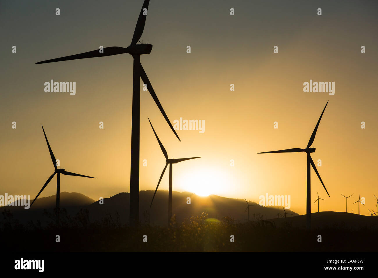 Part of the Tehachapi Pass wind farm, the first large scale wind farm ...