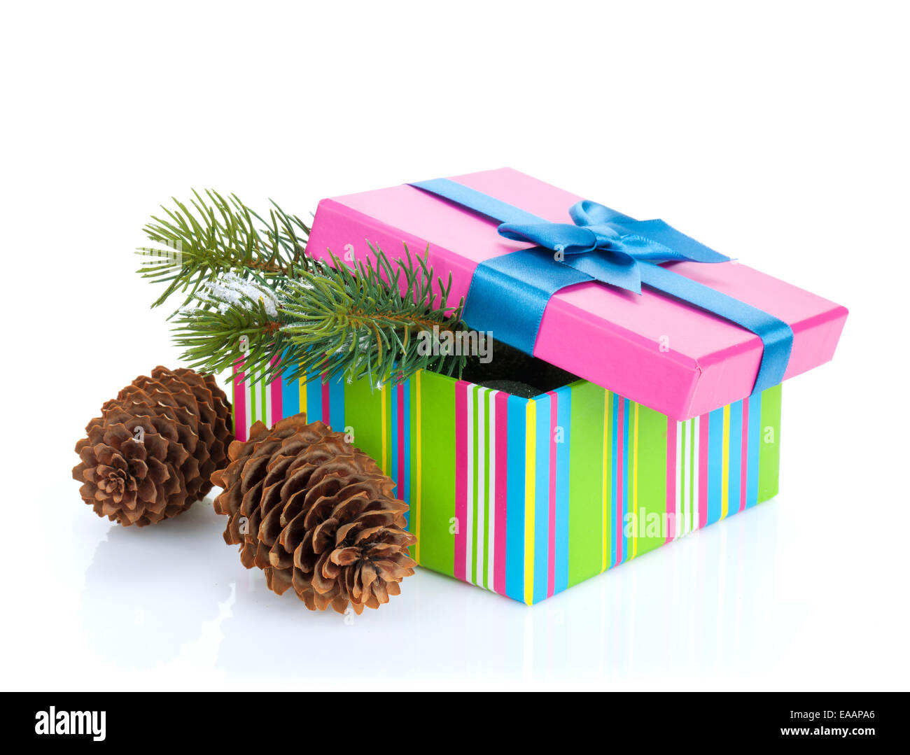 Christmas gift box with fir tree. Isolated on white background Stock ...