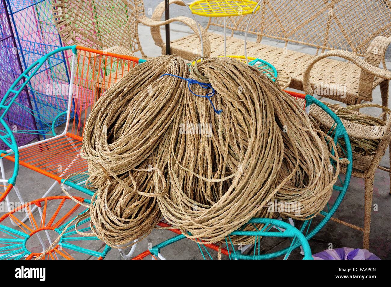 Cabuya hi-res stock photography and images - Alamy