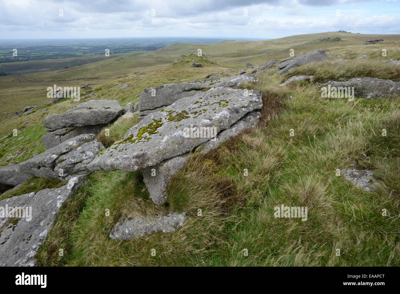 Hare Tor Dartmoor Stock Photo - Alamy
