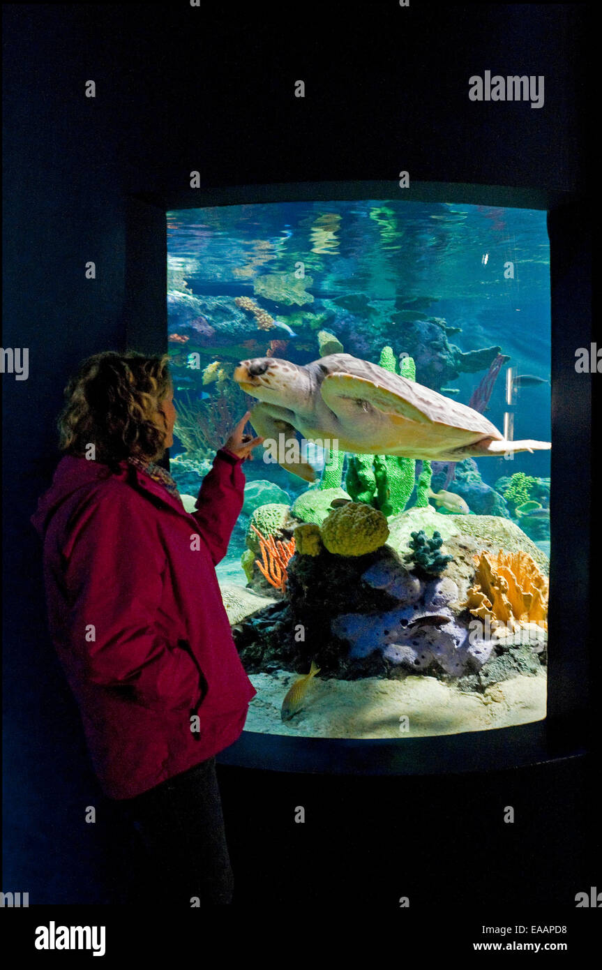 Portrait beautiful woman hypnotic hi-res stock photography and images ...