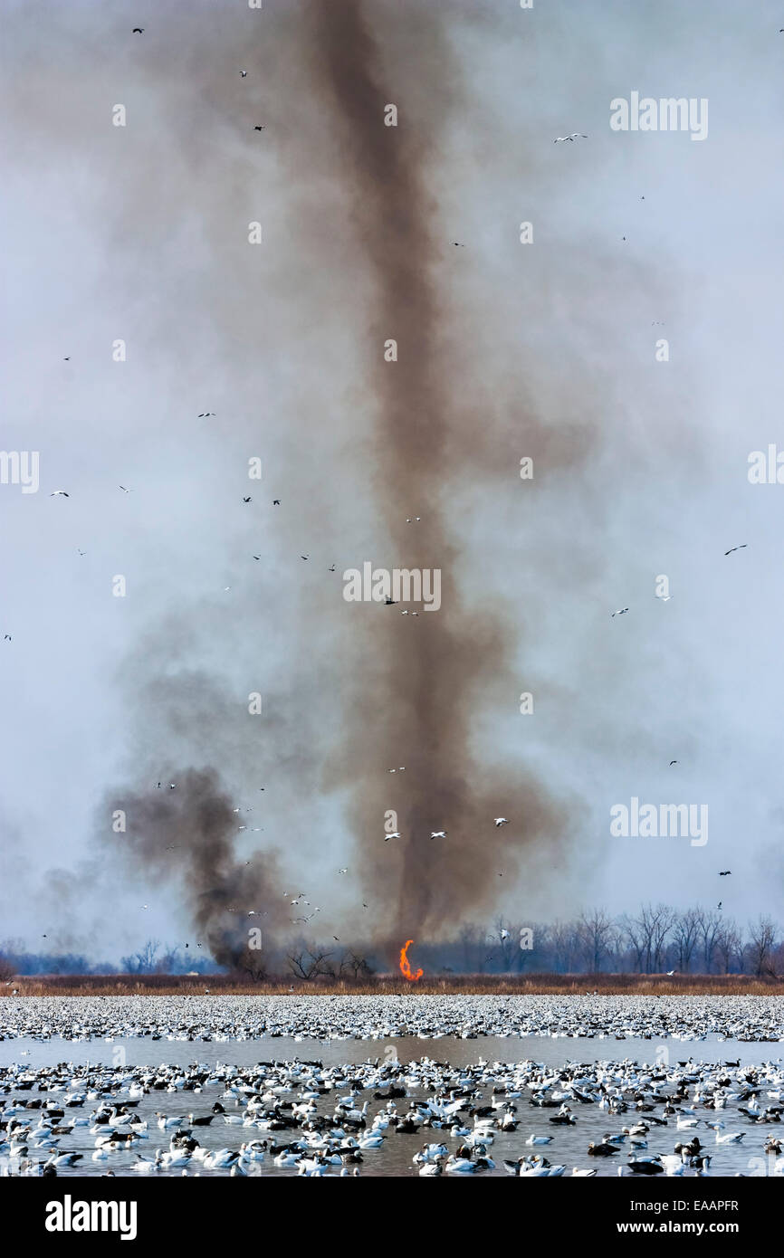 Fire devil weather hi-res stock photography and images - Alamy