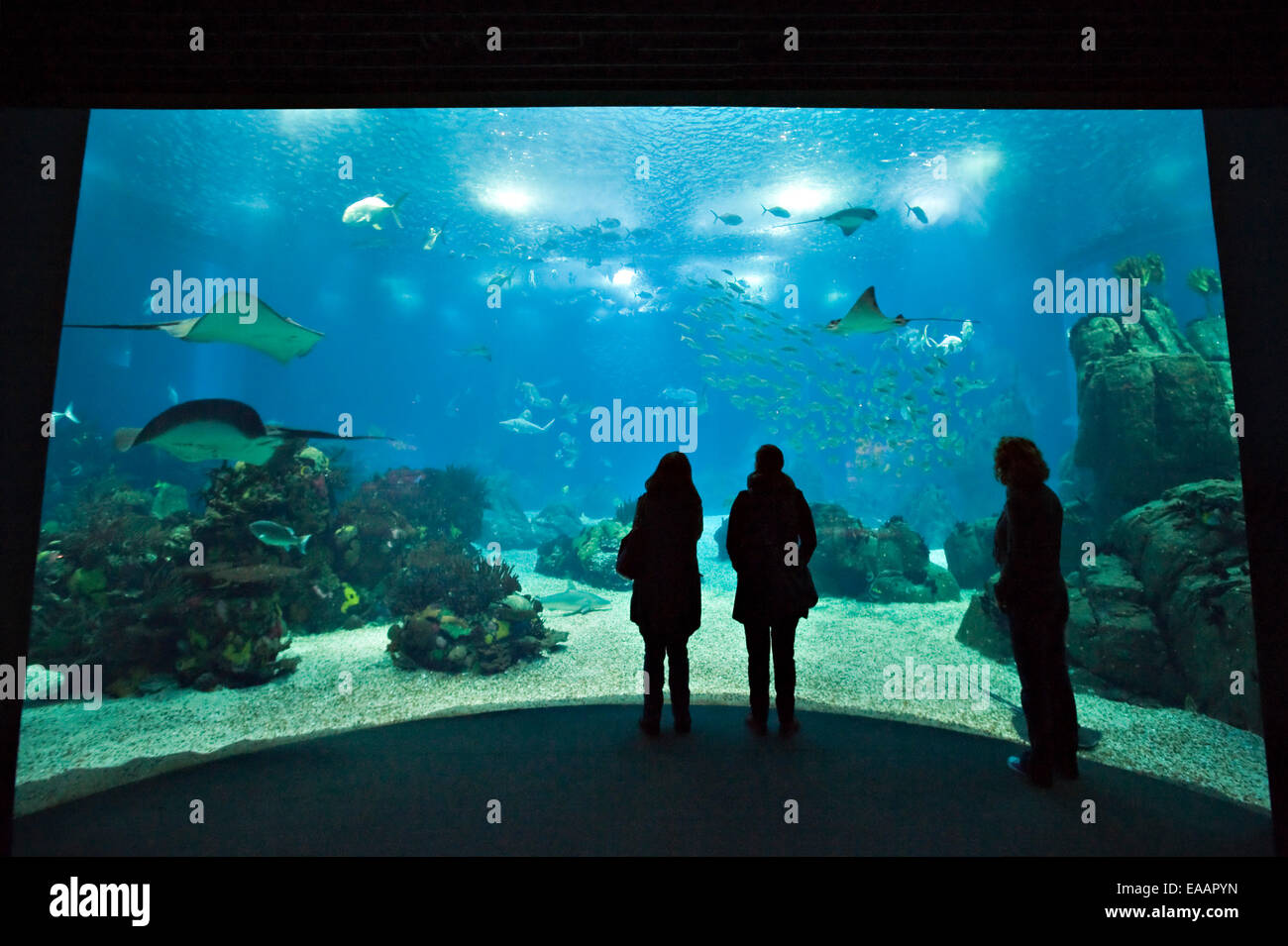 Big exhibition inside view white hi-res stock photography and images ...