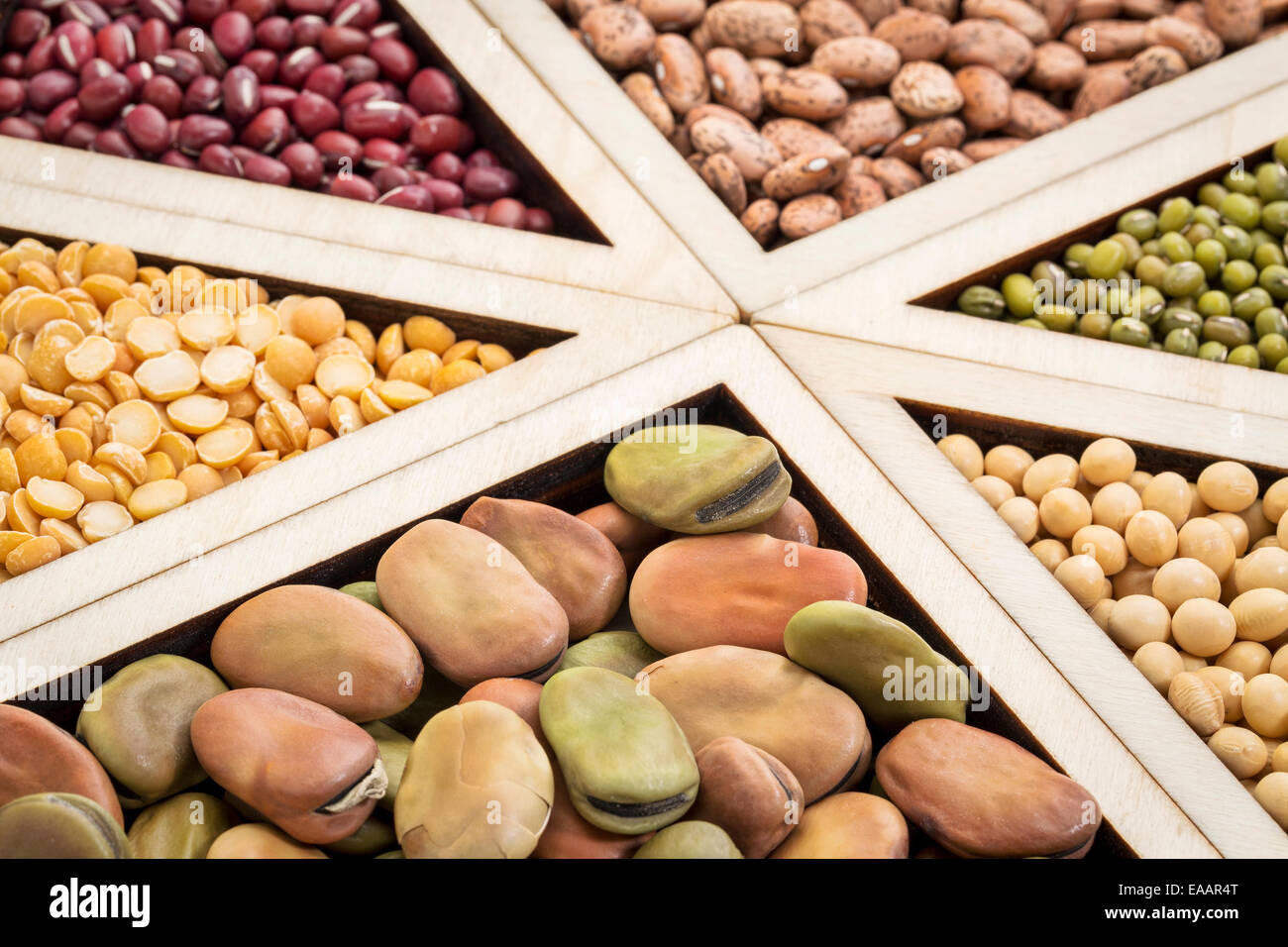 triangles - bean, lentil and pea abstract (fava, pinto, adzuki bean ...