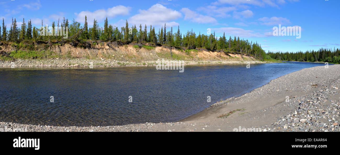 Panoramic landscape polar river in the Urals. Polar Ural, Komi Republic ...